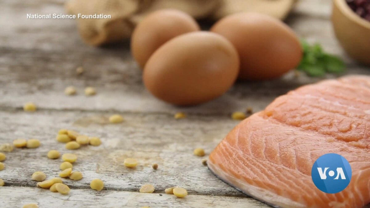 Scientists Building Proteins See a World of Possibilities