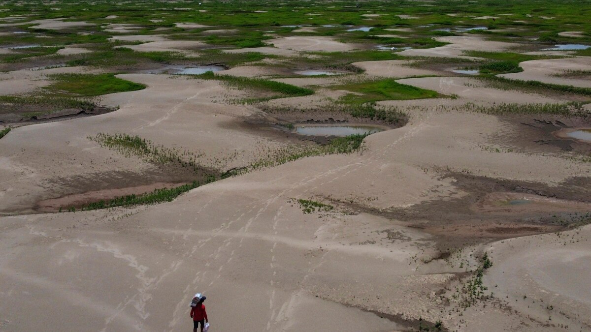La sequía del río Amazonas provoca emergencia de sequía en zonas de ...