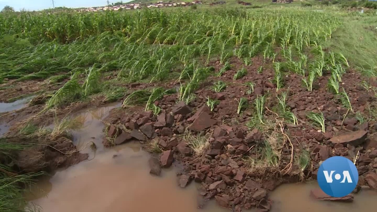 Zimbabwe’s Water Supply Threatened by Wetland Construction