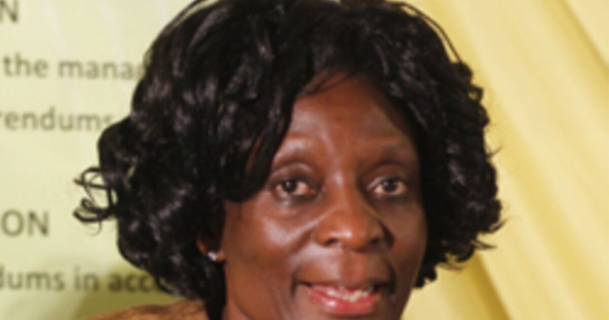 Zimbabwe Court Declares Section of Dreaded Public Order, Security Law ...