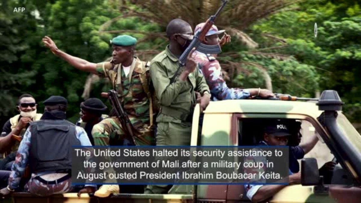 Transitional Government in Mali