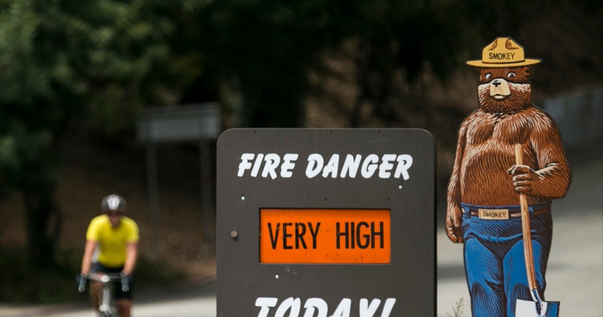Smokey Bear, Fire Prevention Icon in US, to Turn 75