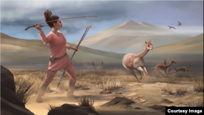 Stone Age Animals Hunted