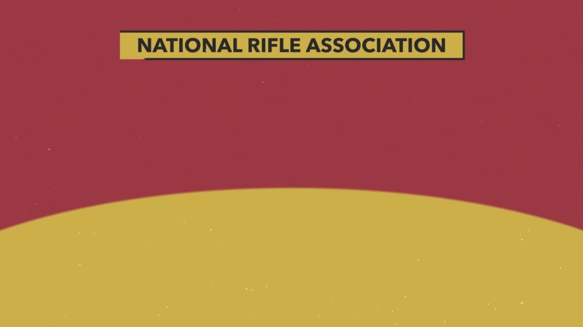 What Is the National Rifle Association?