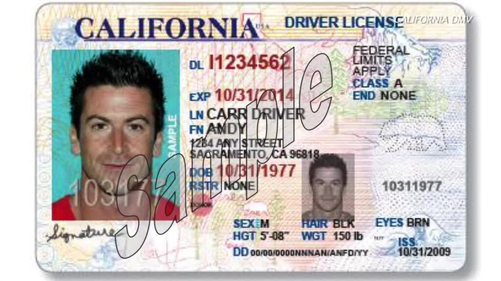 Fake Driving License Template Bdaio