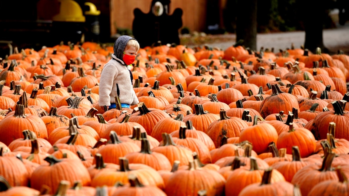 Comprendre la fête d'Halloween, célébrée ce dimanche