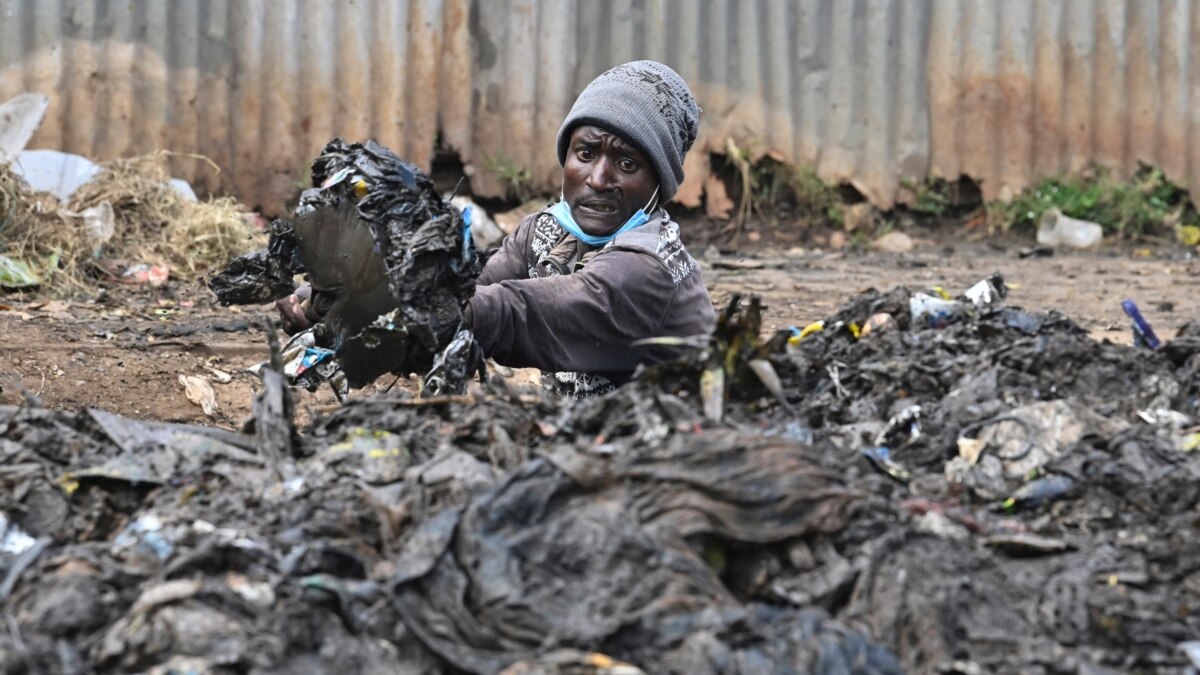 Ivory Coast to Host 'World Environment Day'