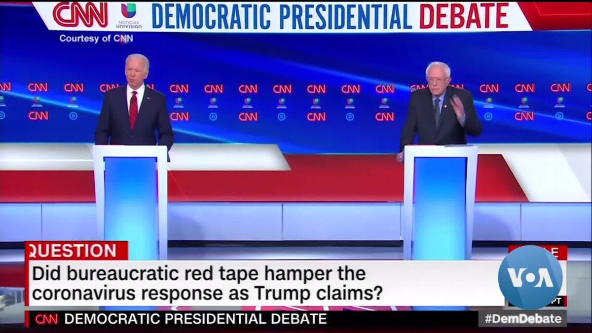 Democratic Primaries Preview WEB