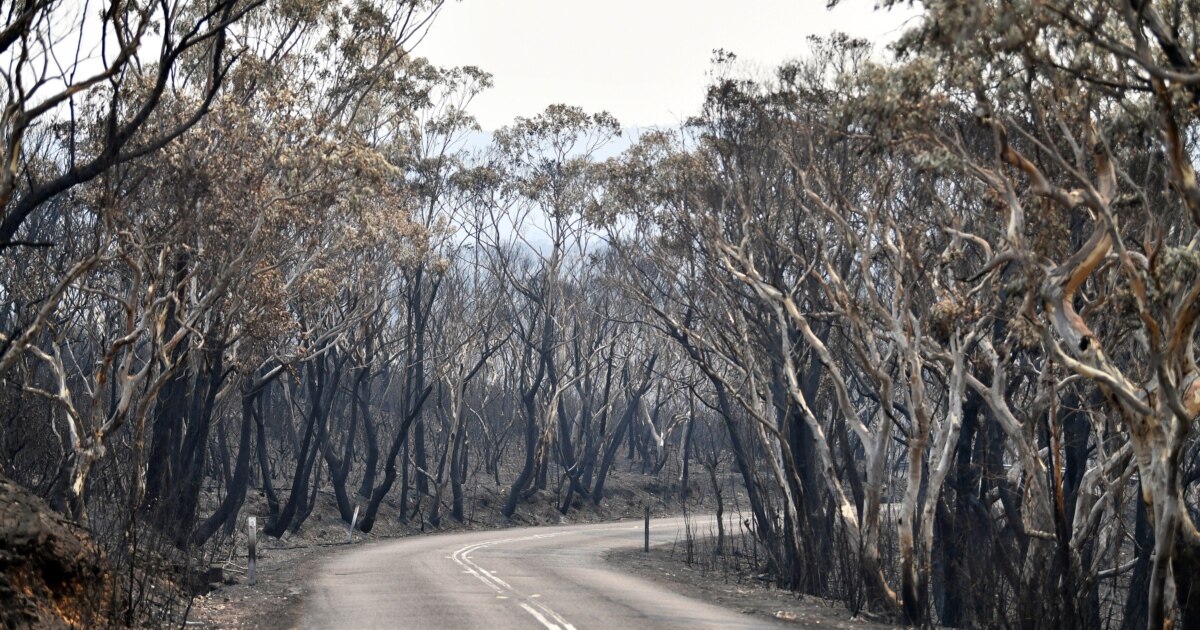 ออสเตรเลียเผชิญ 'คลื่นความร้อน' สูงสุดเป็นประวัติการณ์