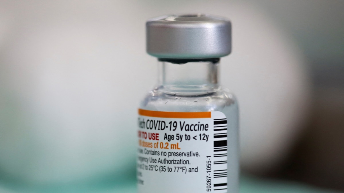 Studi: Vaksin COVID-19 Pfizer Kurang Efektif pada Anak Kecil – Bahasa ...