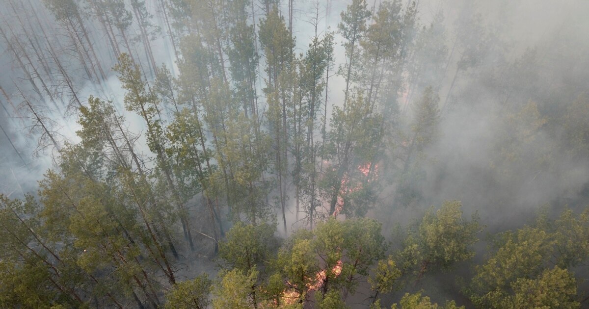 Ukraine Fights Fires in Chernobyl Zone, Says no Radiation Jump