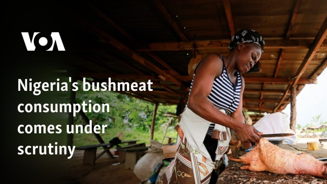 5 Grotesque And Irresponsible African Bushmeat Feasts This Summer