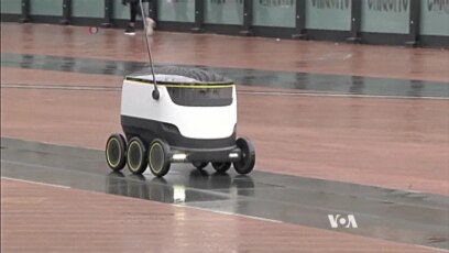 Self Driving Robot