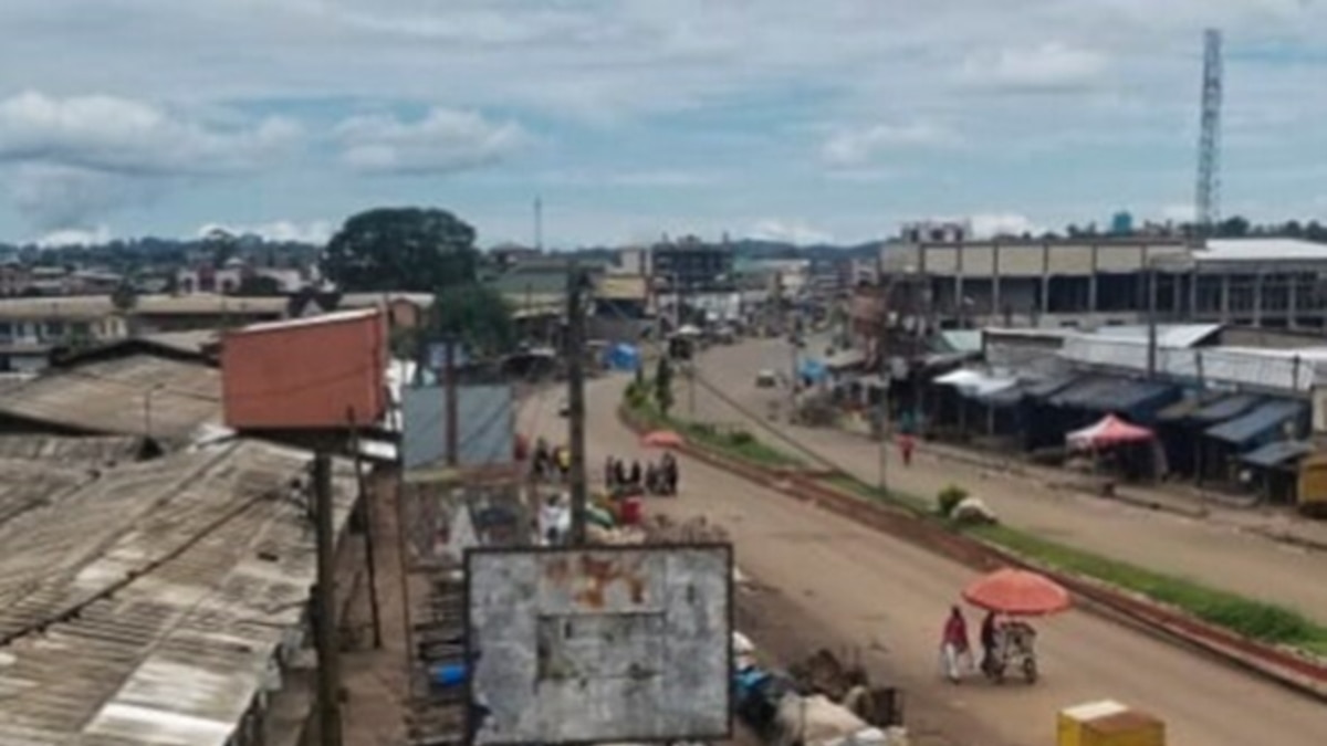 Cameroon Military Sweeps Northwest City to Weed Out Separatists