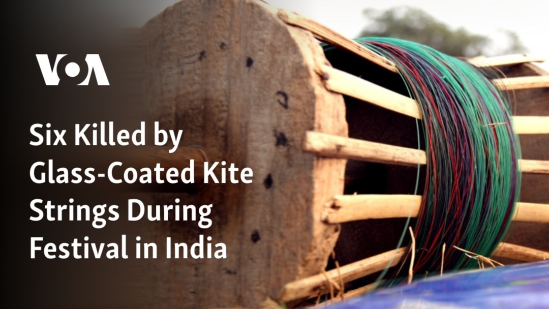 Indian Fighter Kites Facts