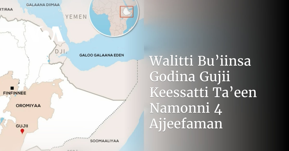 Walitti Bu’iinsa Godina Gujii Keessatti Ta’een Namonni 4 Ajjeefaman