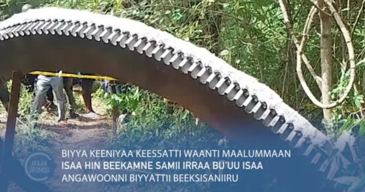 Keeniyaa keesatti Wantii Maalummaan Isaa Hin Beekamne Samii Irraa Bu’ee Argame