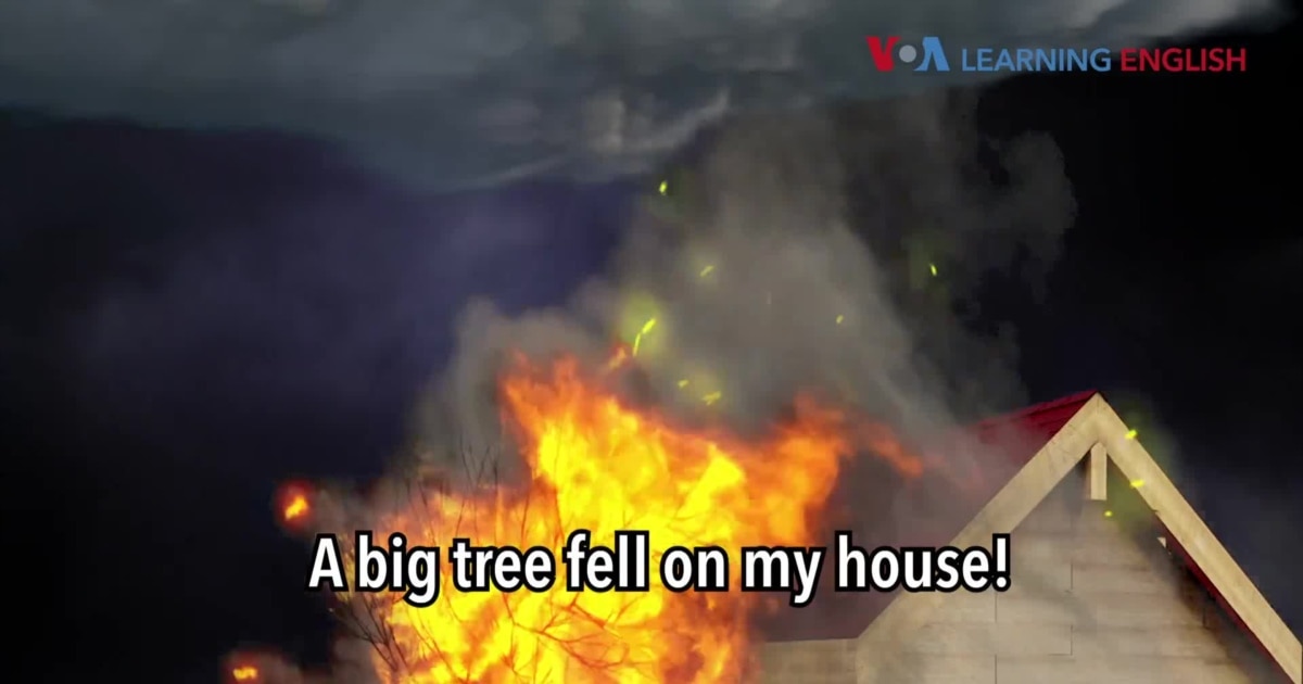 Everyday Grammar: Conditional Perfect Continuous