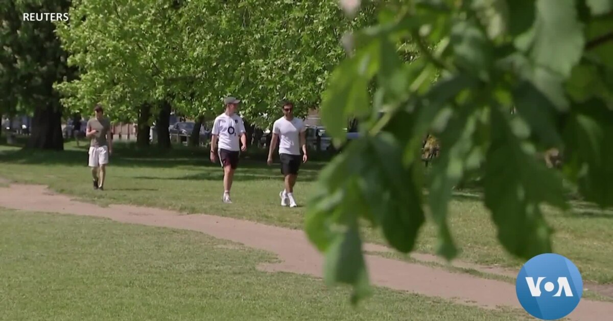 When Will Pandemic End? Scientists Share Models and Predictions