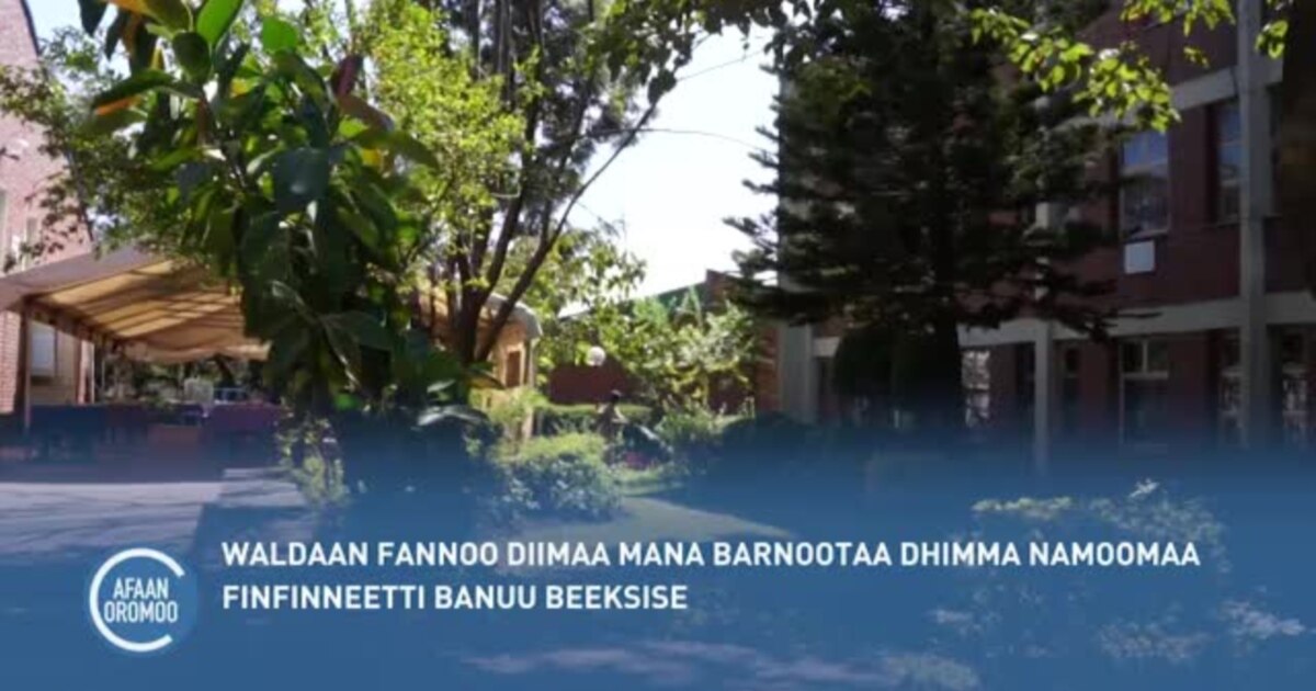 Waldaan Fannoo Diimaa Mana Barnootaa Dhimma Namoomaa Finfinneetti Banuu ...