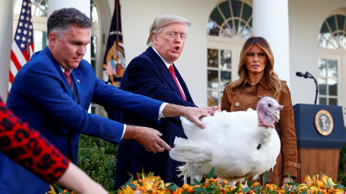 Turkey Pardons Are Long Presidential Tradition