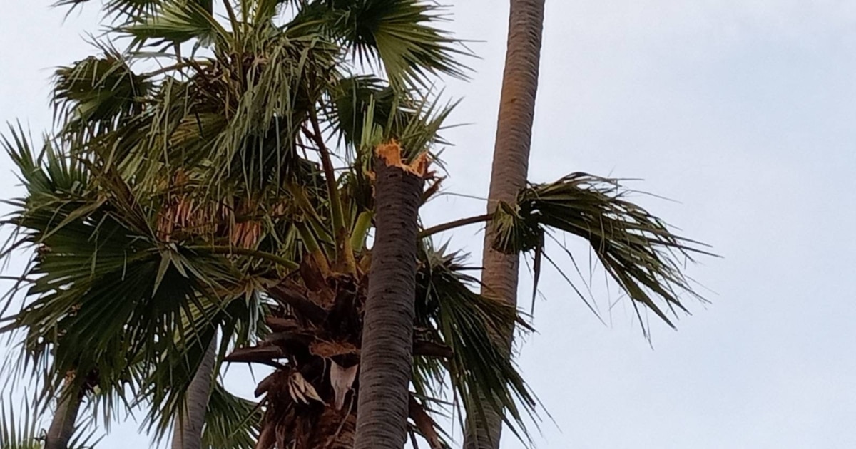 မြင်းခြံခရိုင်အတွင်း လေကြောင်းတိုက်ခိုက်မှု ကျောင်းထိုင်ဘုန်းတော်ကြီး ဒဏ်ရာရ