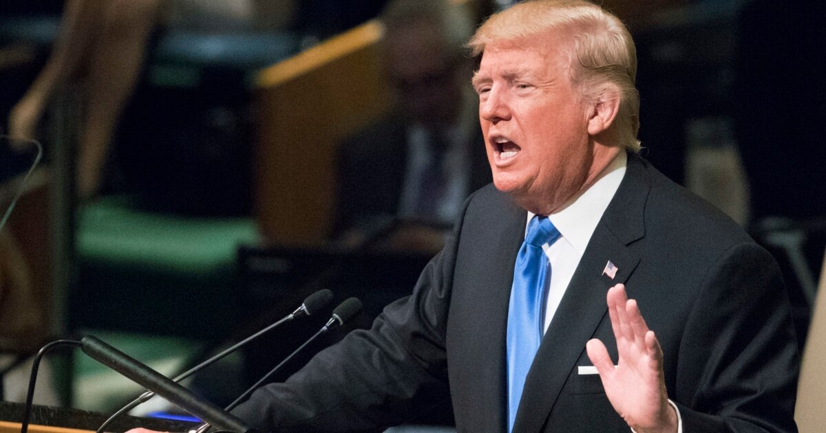 UN Success Depends on Coalition of Strong, Independent Nations