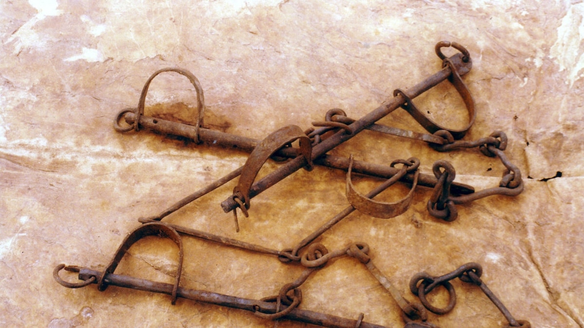 Enslaved Native Americans Played Central Role in 1600s New England ...