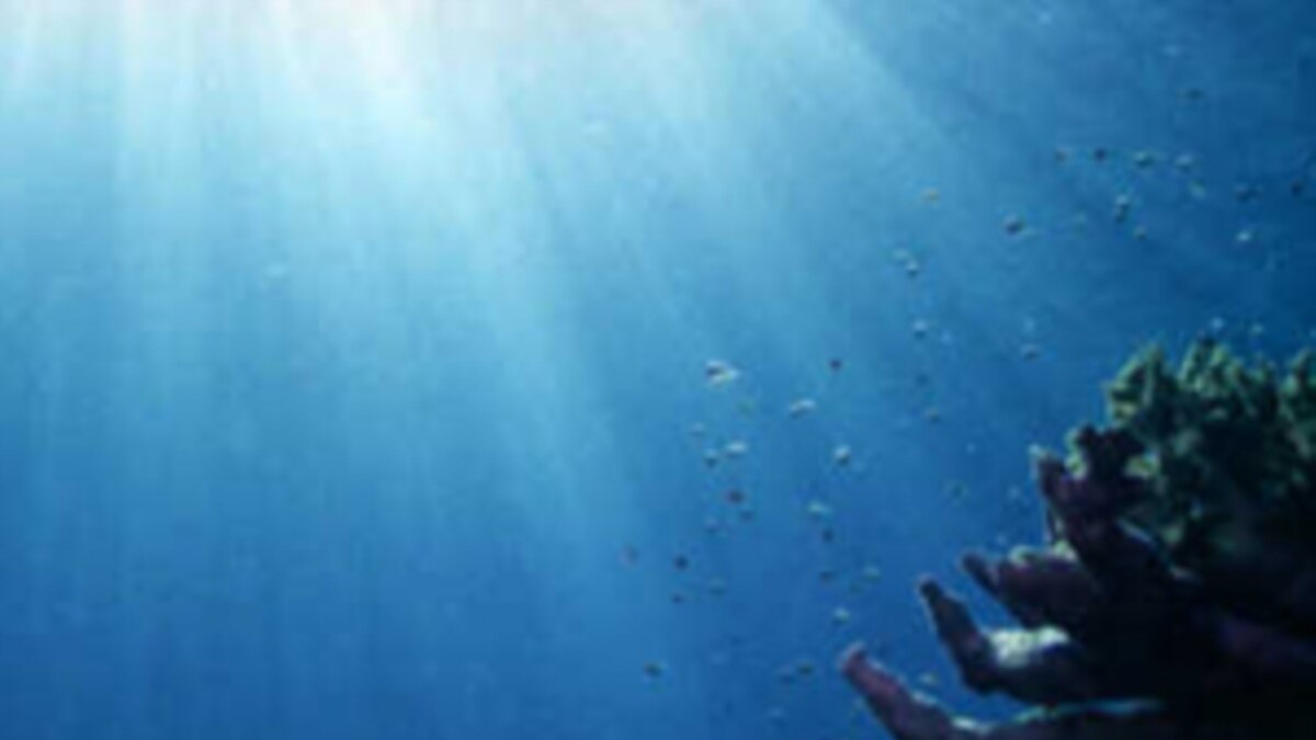 Ocean 'Time Machine' Illustrates Global Warming's Impact on Marine Life