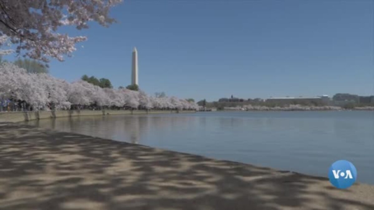 Amerikaga sayohat: Vashington shahri