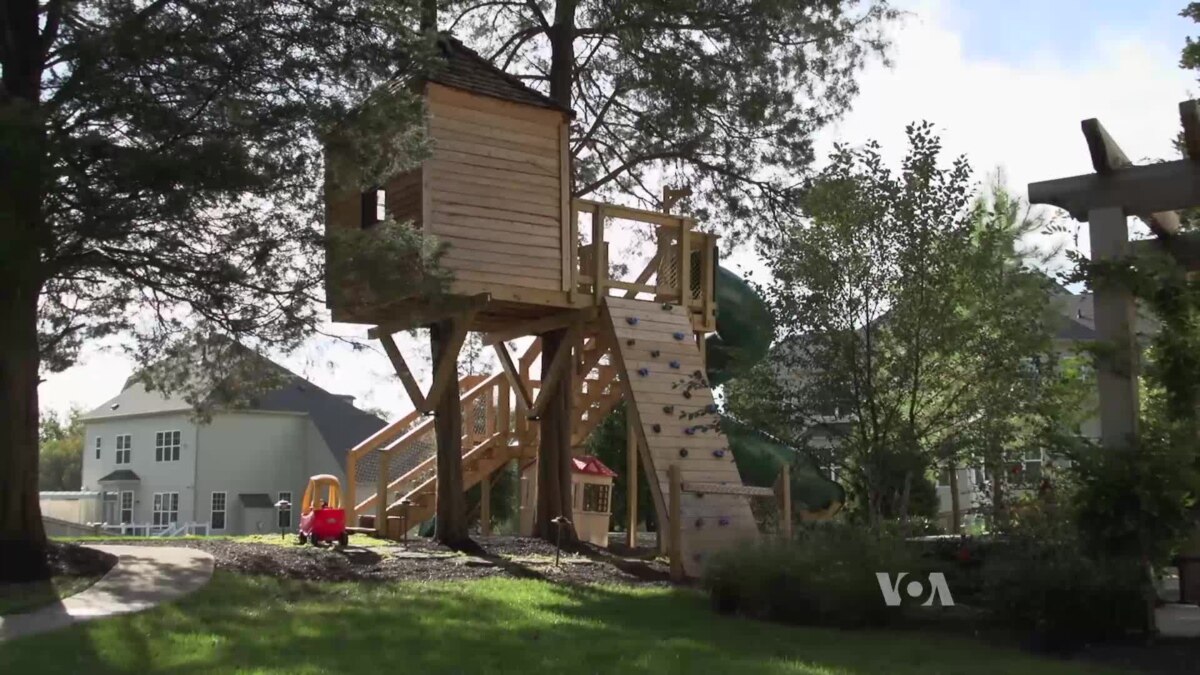 Tree Houses - A Branch of American Dream