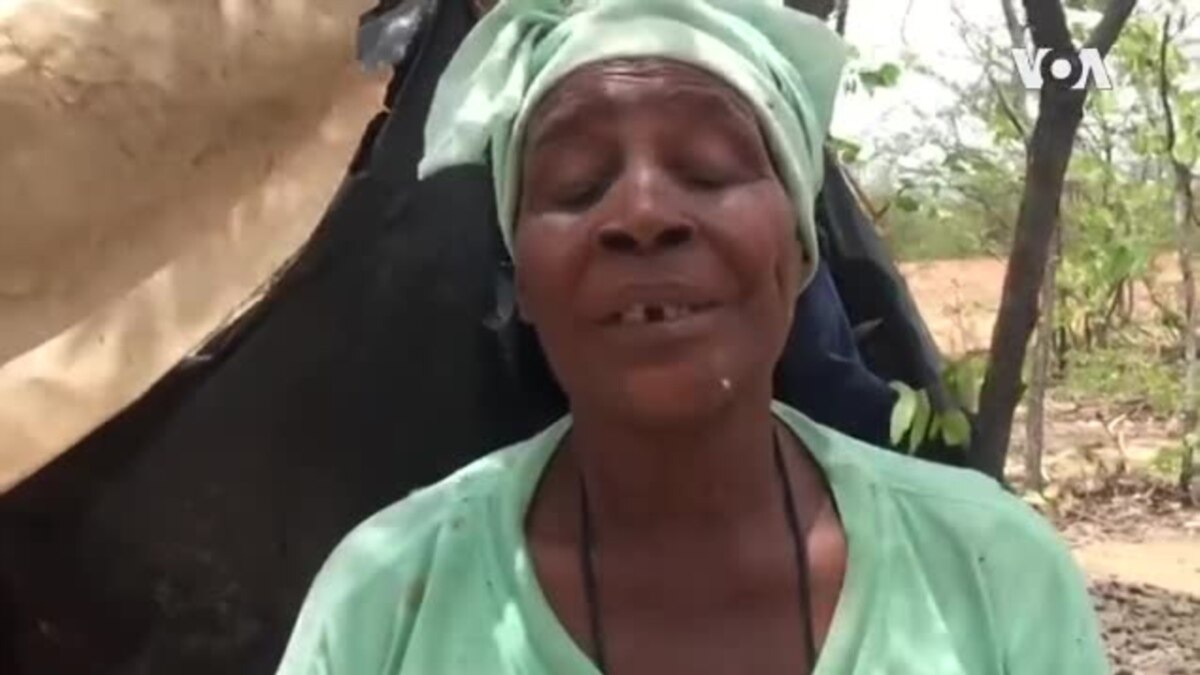 Elderly Woman Harvesting Macimbi to Support Her Family