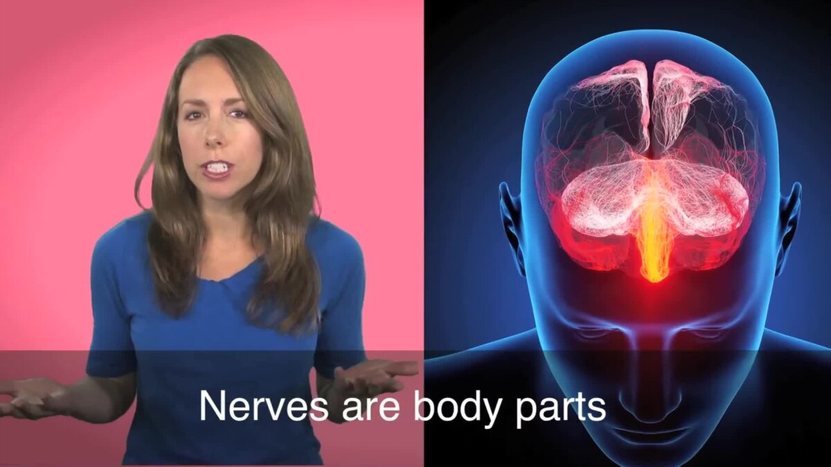 English in a Minute: To Have Nerve