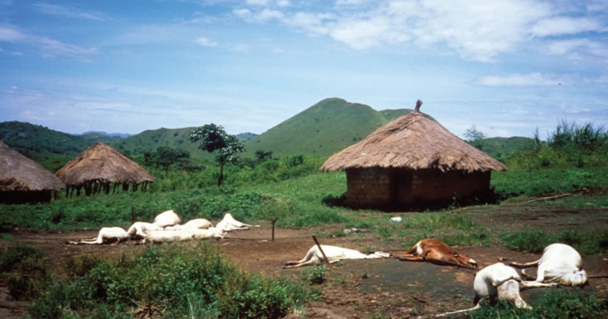 Cameroon Lake Nyos Disaster Survivors Feel Abandoned