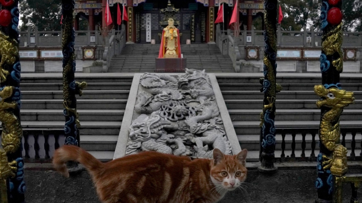 WHO Report: COVID-19 Likely First Jumped Into Humans from Animals