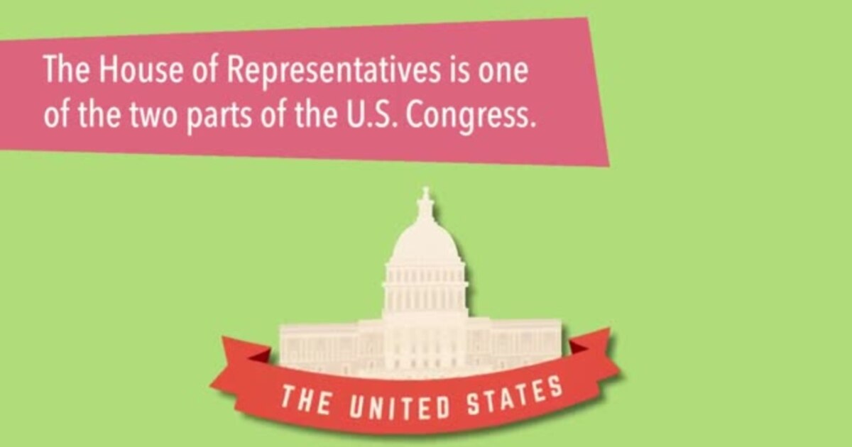 What Is the US House of Representatives?