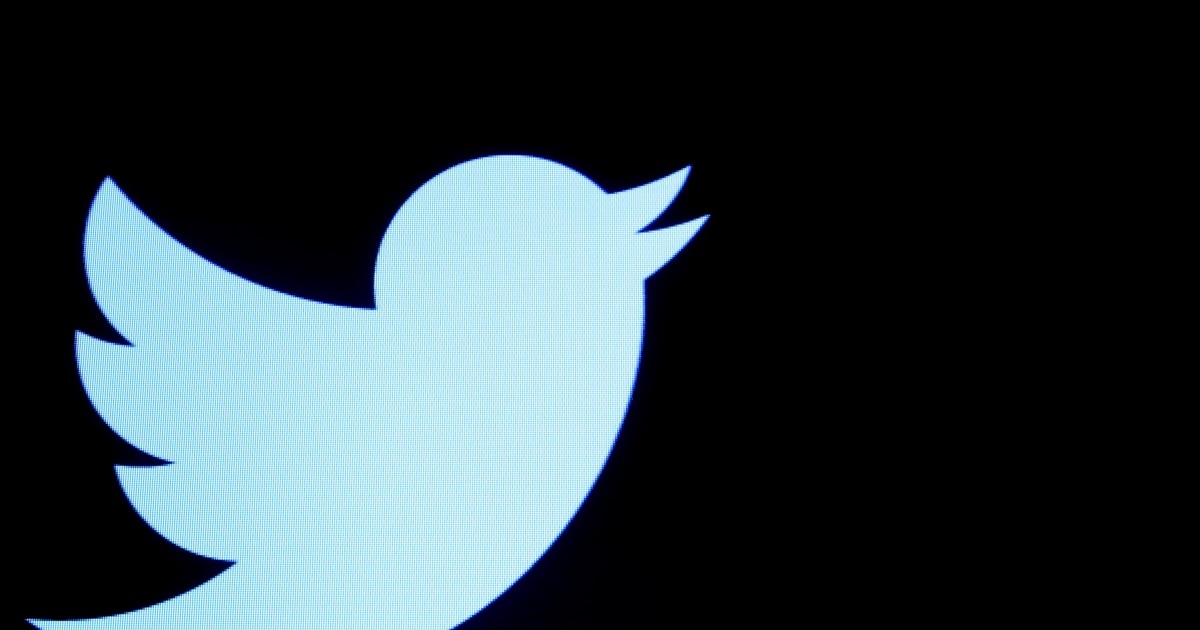 Twitter Deletes Egypt, Saudi Accounts Over 'Pro-Govt Direction'