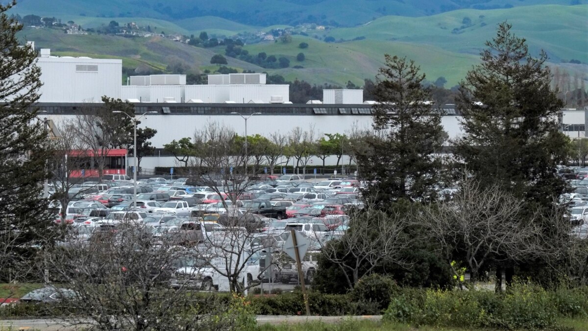 Tesla Releases First Diversity Report