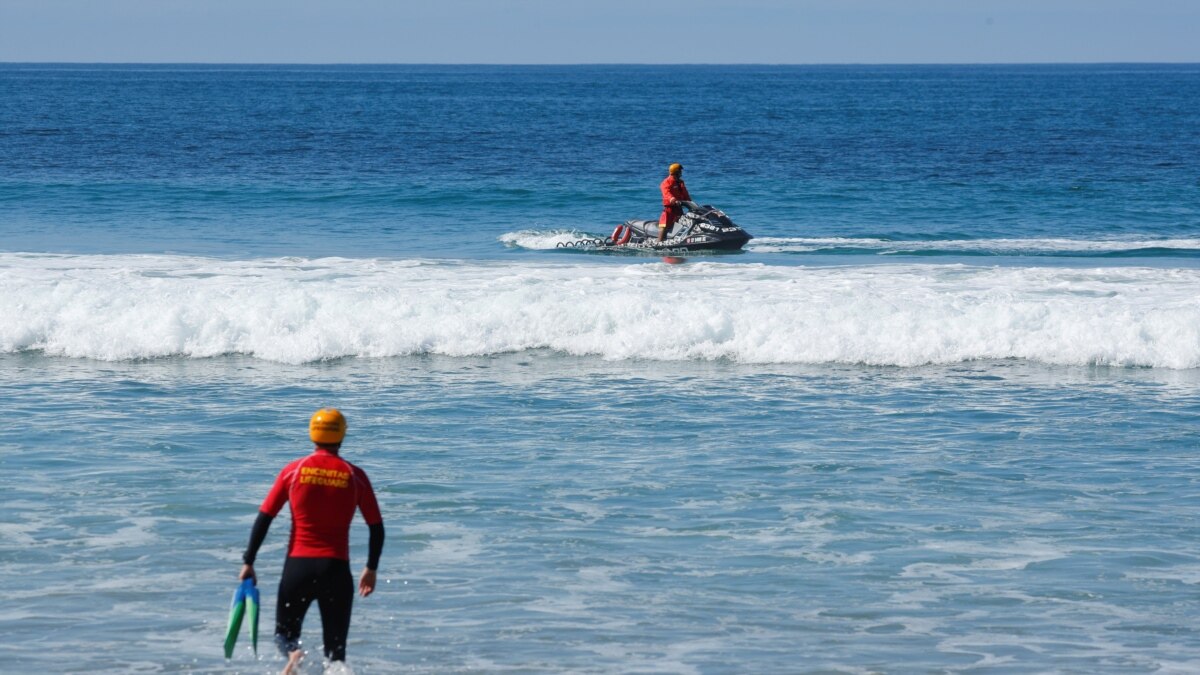 Surfer Killed by Shark off Northern California Coast