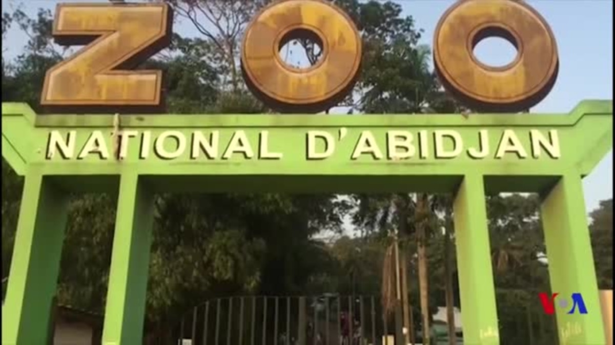 Le zoo d'Abidjan renaît de ses cendres