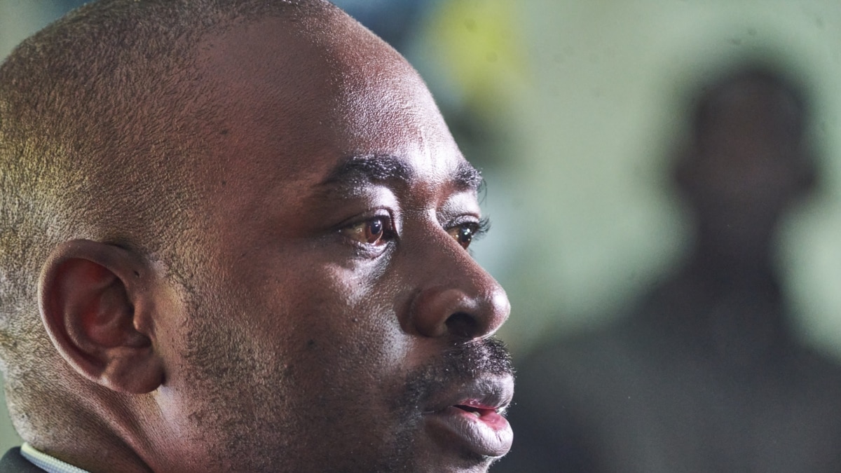 Zimbabwe’s Opposition CCC Fears Election Violence